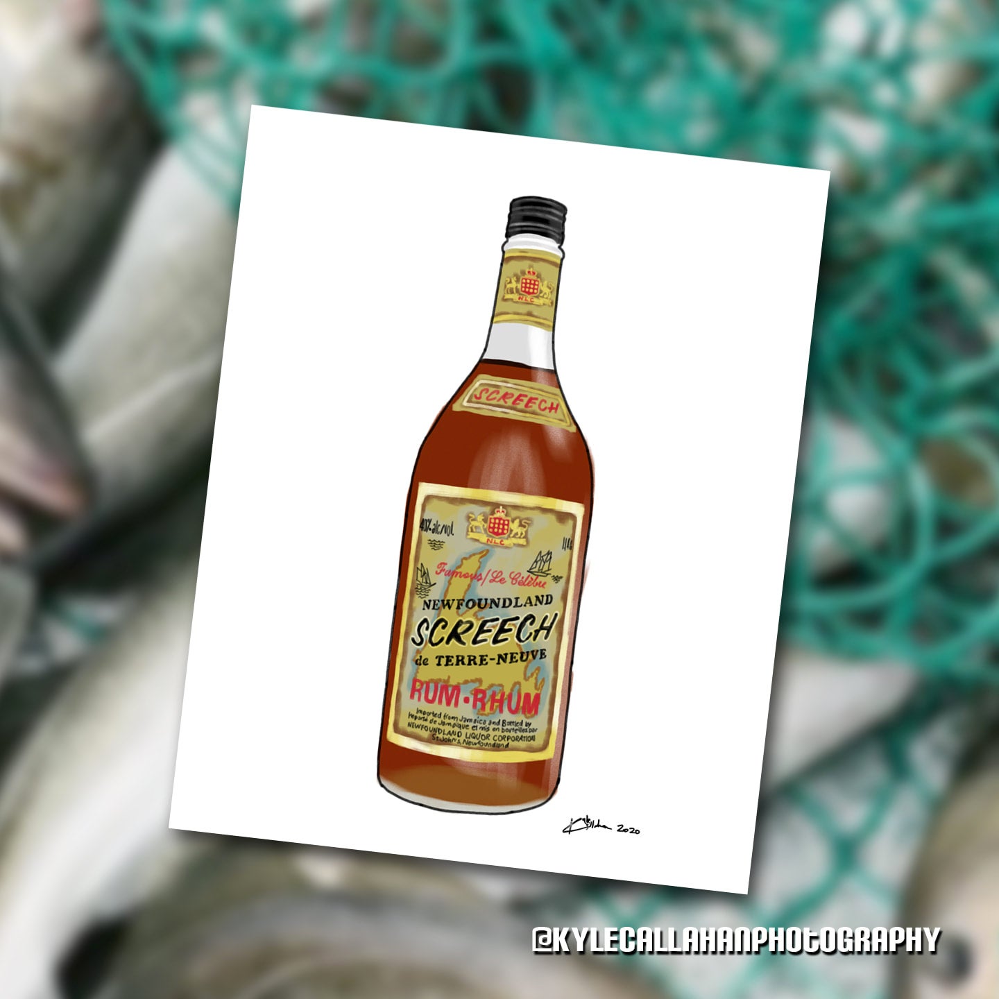 Newfoundland Screech #3 | My Site